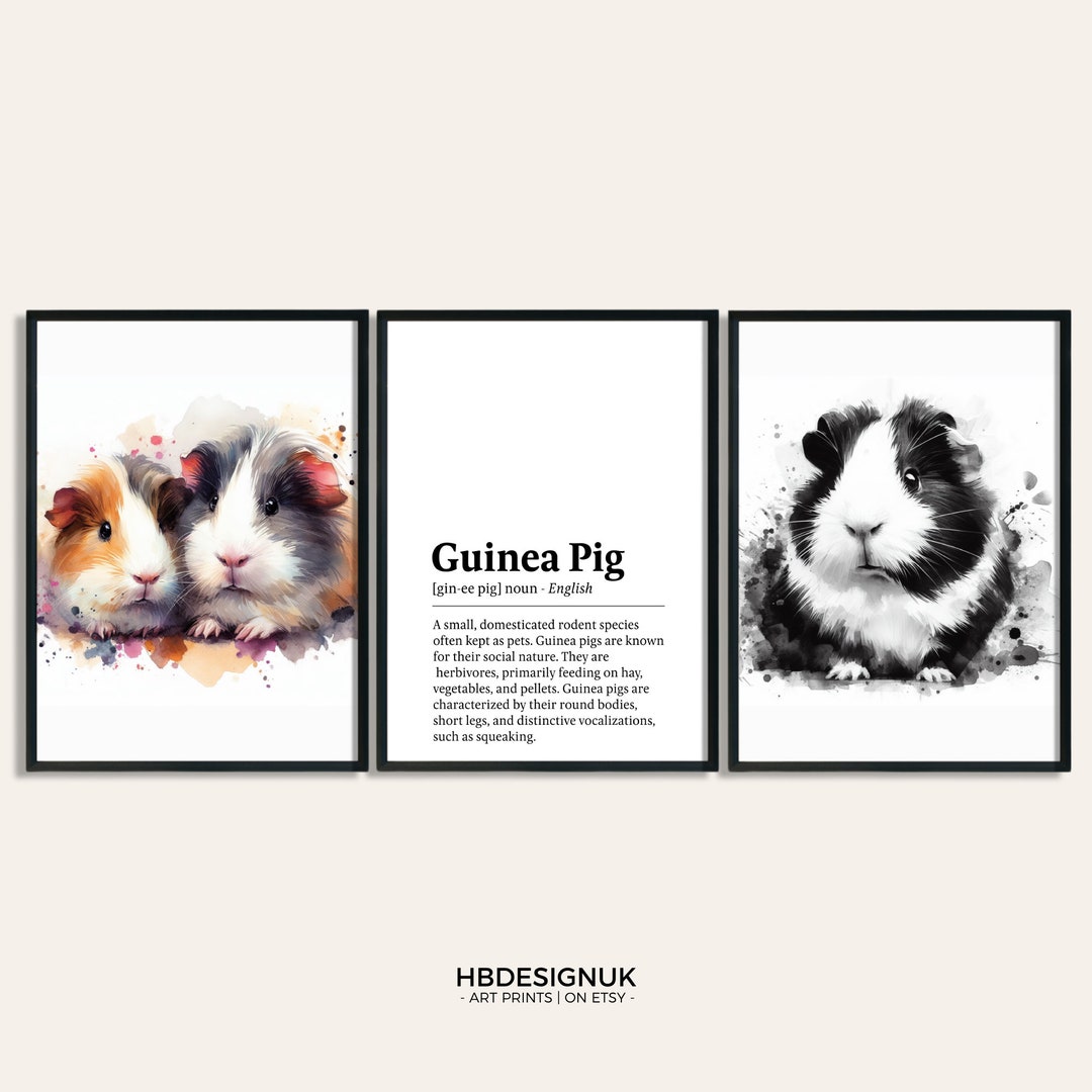 Guinea Pig Poster Set - Set of 3 Prints | Watercolor Print | Pet ...