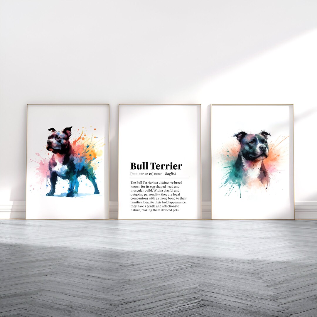Staffordshire Bullterrier Hund Drucke - Set aus 3 Postern | Aquarell ...