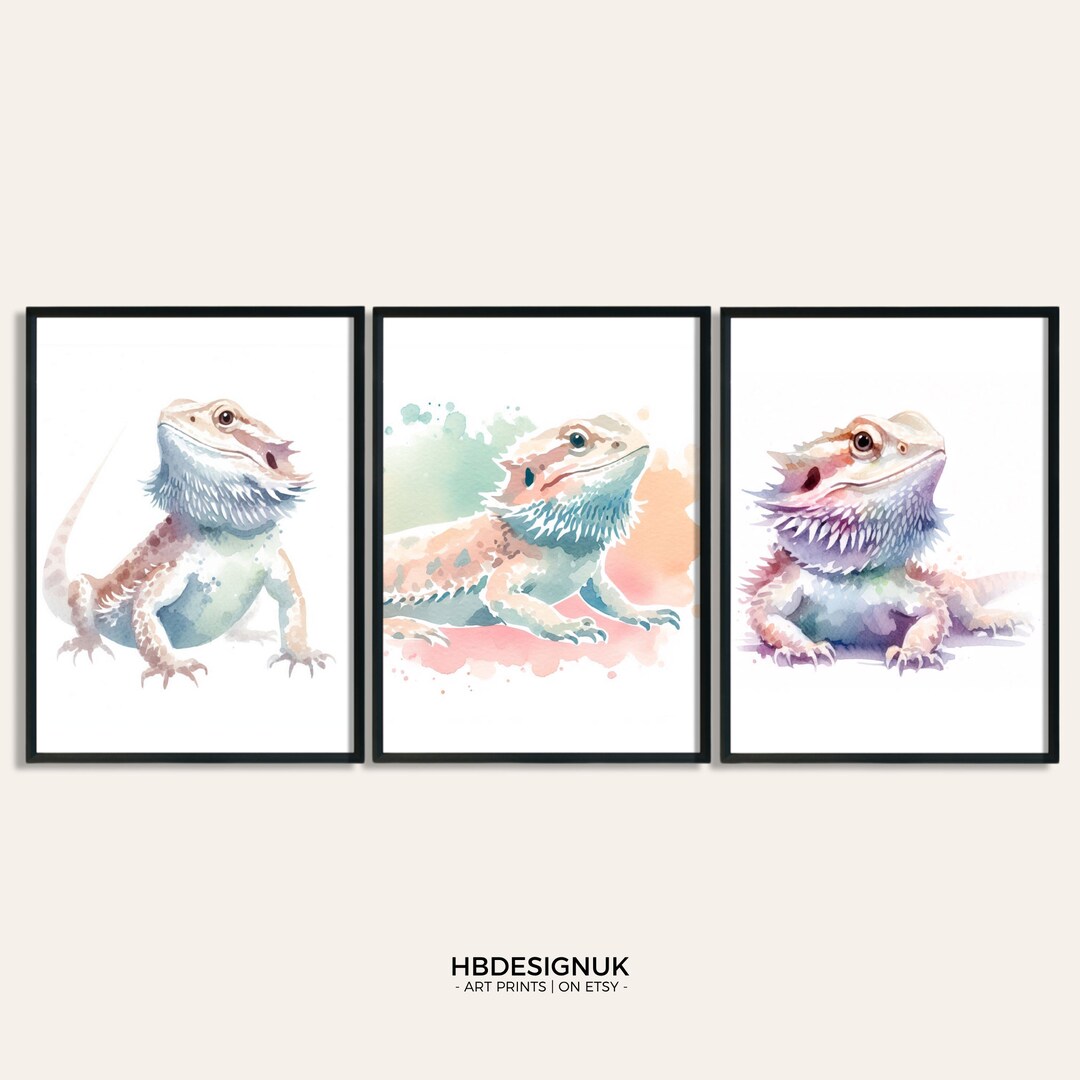 Bearded Dragon Poster Set - Set of 3 Prints | Watercolour Print ...