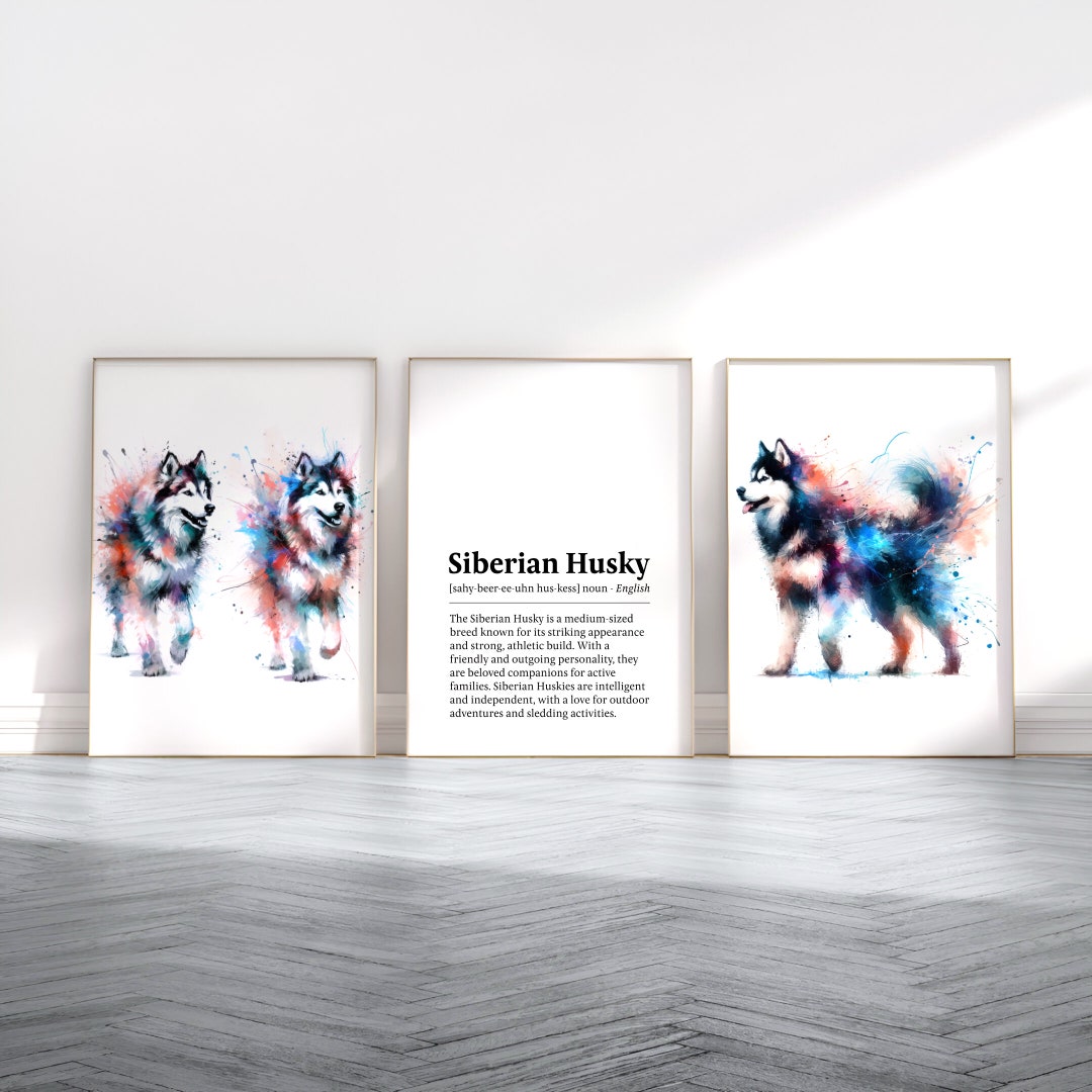 Siberian Husky Prints - Set of 3 Posters | Watercolor Definition Wall ...