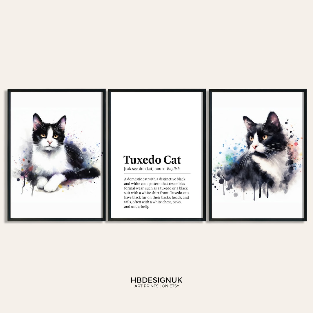 Tuxedo Cat Poster Set - Set of 3 Prints | Watercolor Print | Pet ...