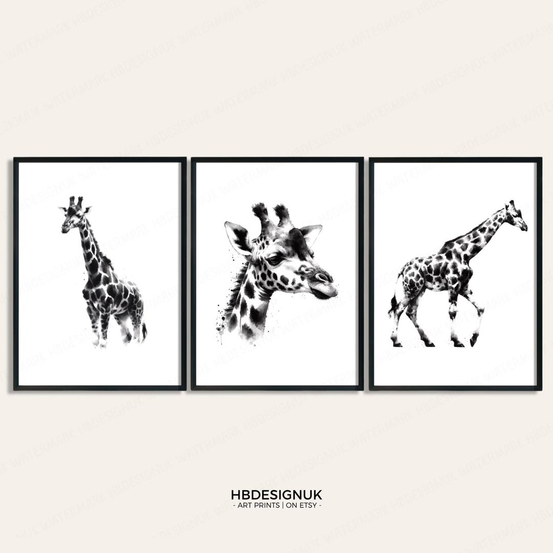 Black and White Giraffe Prints - 3 Posters | Safari Decor | Giraffes ...