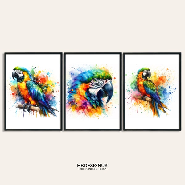 Macaw Poster - Etsy