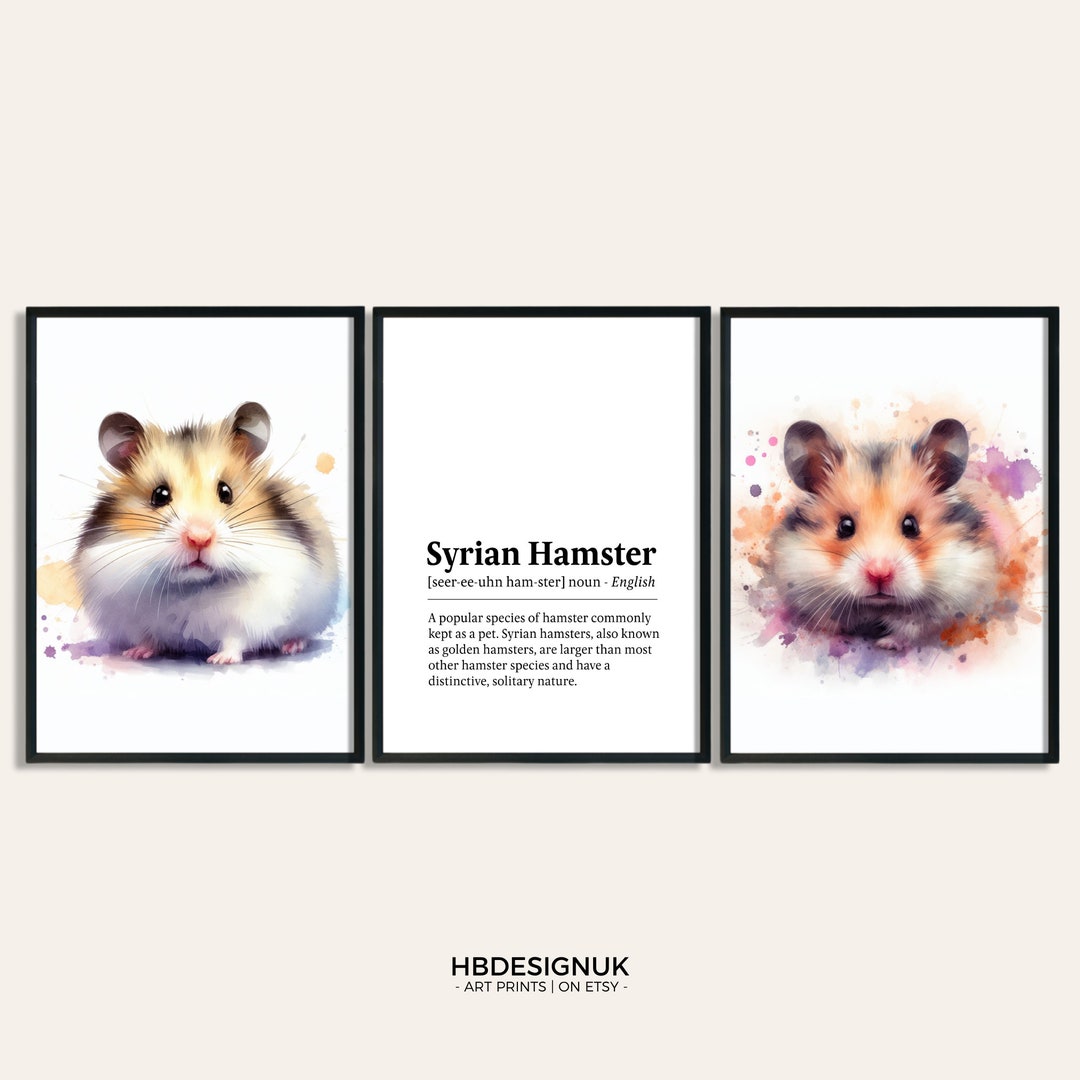 Syrian Hamster Poster Set - Set of 3 Prints | Watercolour Syrian ...