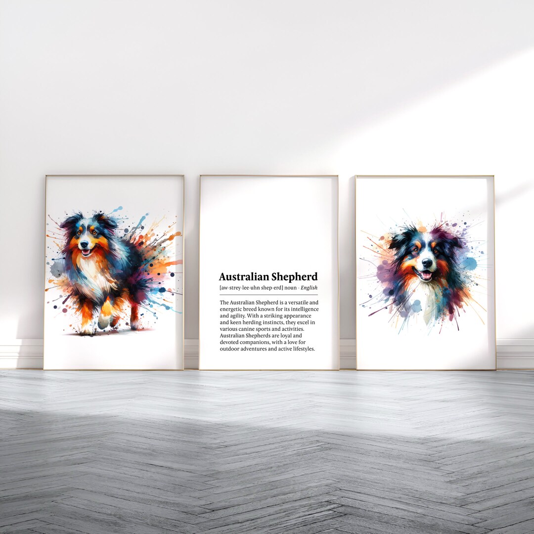Australian Shepherd Prints - Set of 3 Posters | Watercolor Definition ...
