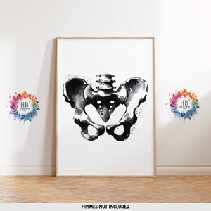 Chiropractor Definition Prints - 3 Watercolour Posters | Chiropractic ...