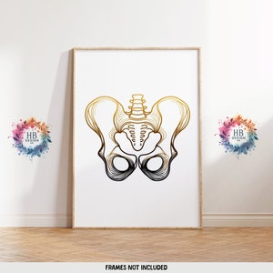 Chiropractor Definition Prints - 3 Line Art Posters | Chiropractic ...