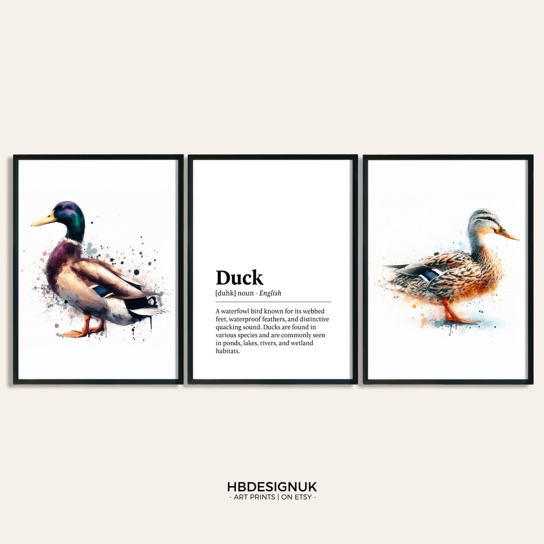 Duck Poster Set - Set of 3 Prints | Watercolour Ducks Print | Wall ...