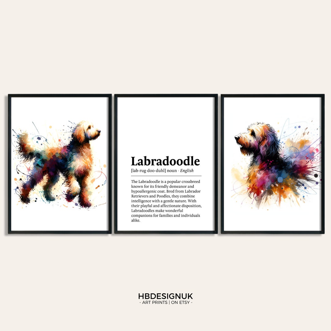 Labradoodle Dog Prints - Set of 3 Posters | Watercolour Definition Wall ...
