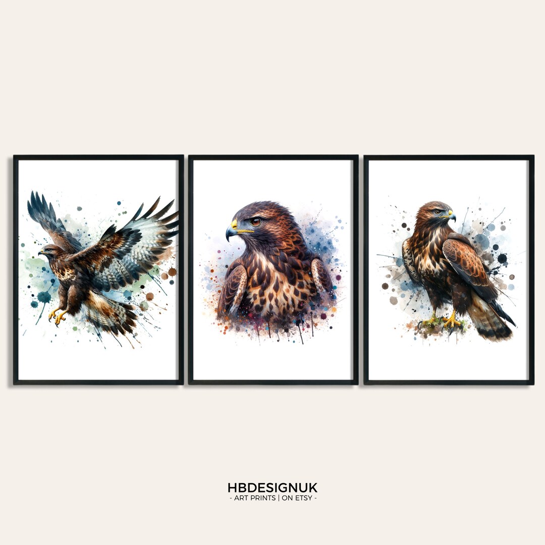 Buzzard Art Print Bird Paintings - Set of 3 Pictures | Buzzard Poster ...