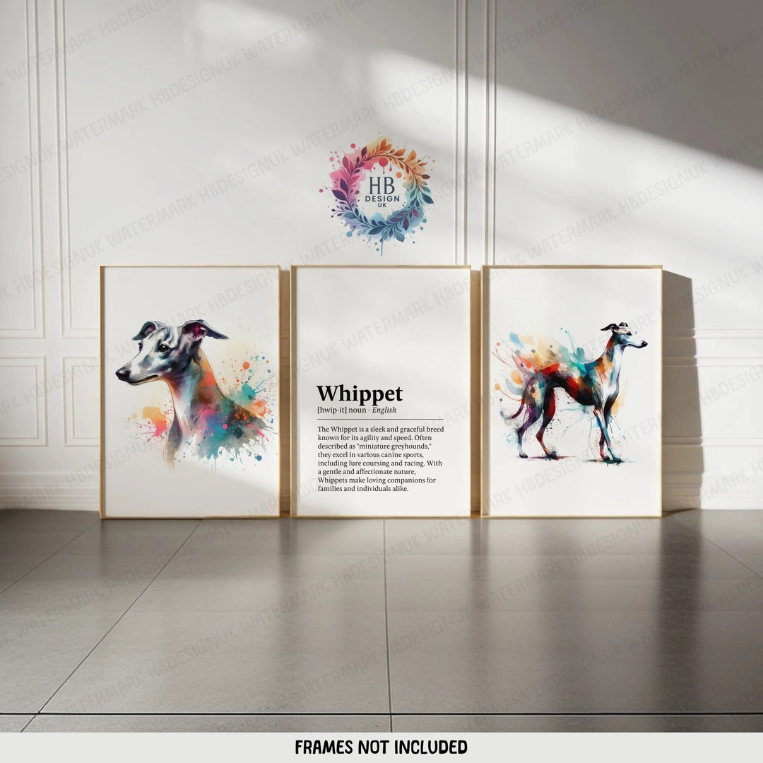 Whippet Dog Prints - Set of 3 Posters | Watercolor Definition Wall Art ...