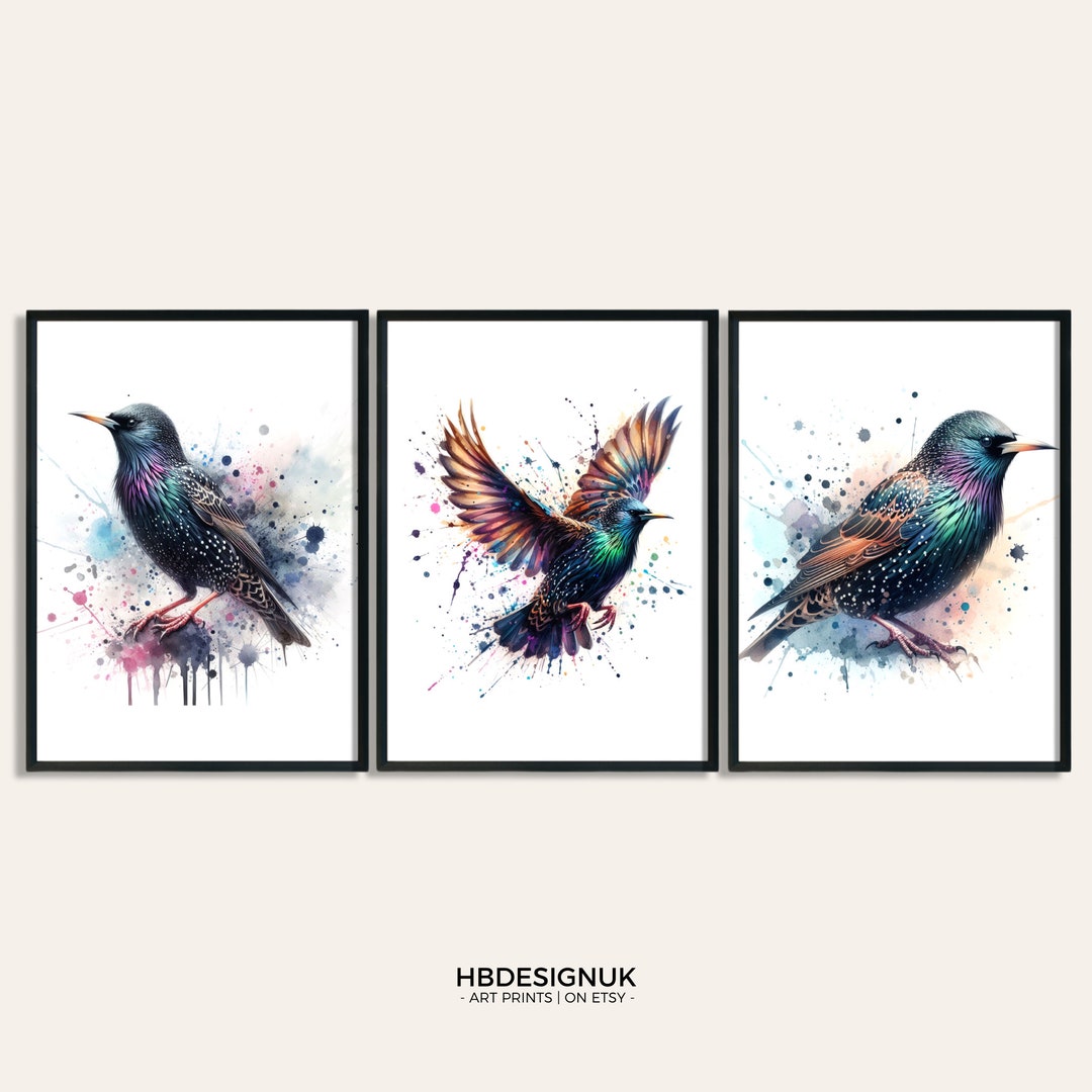 Starling Art Print Bird Poster - Set of 3 Pictures | Starling Print ...