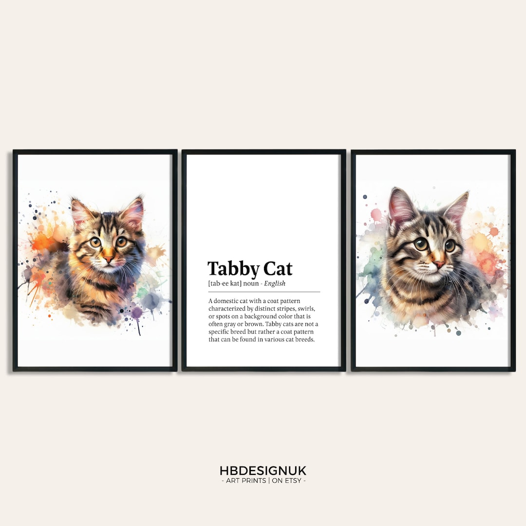 Tabby Cat Poster Set - Set of 3 Prints | Watercolor Print | Pet Present ...