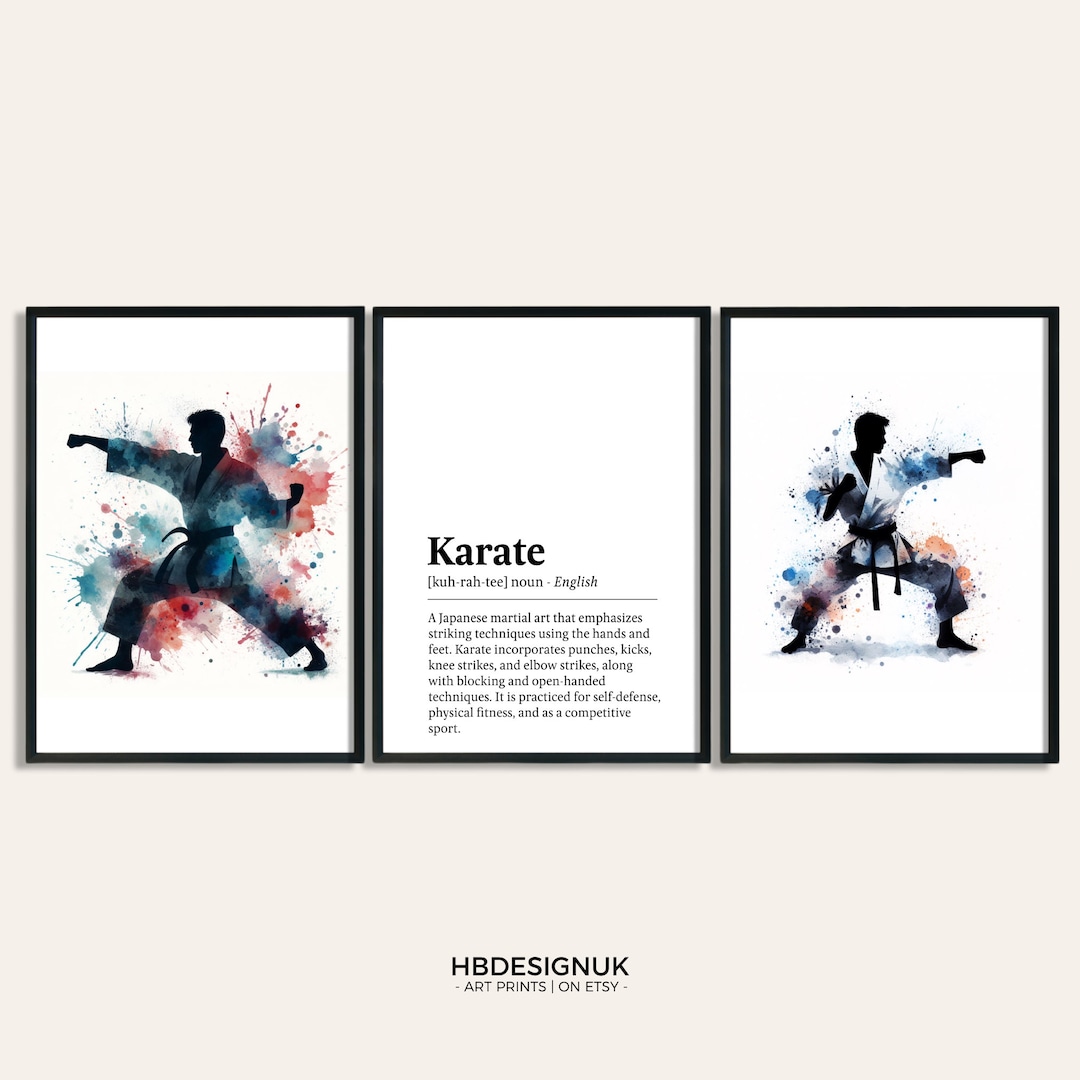 Karate Print Poster - Set of 3 Karate Posters | Room Decor Art Prints ...