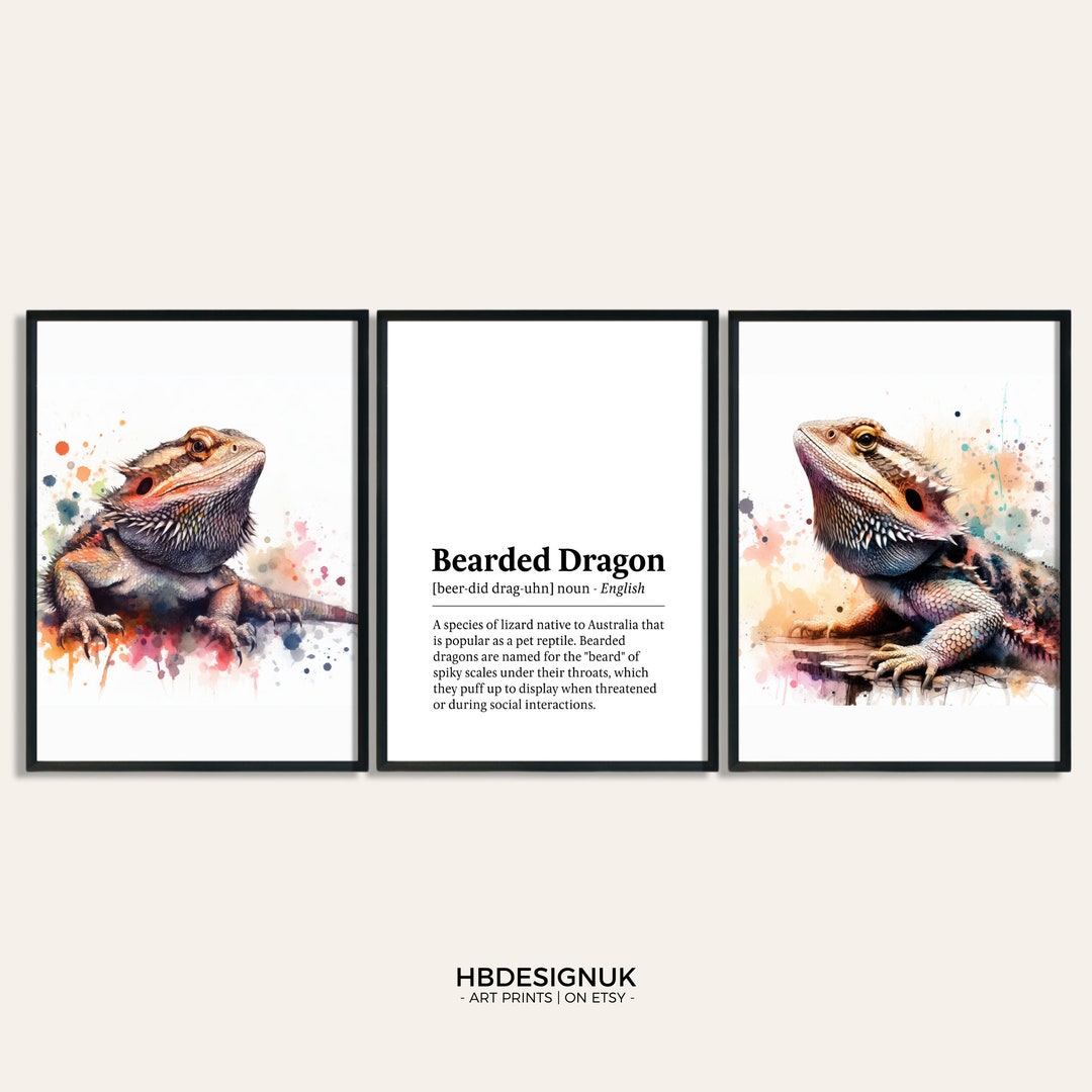 Bearded Dragon Poster Set - Set of 3 Prints | Watercolor Print ...