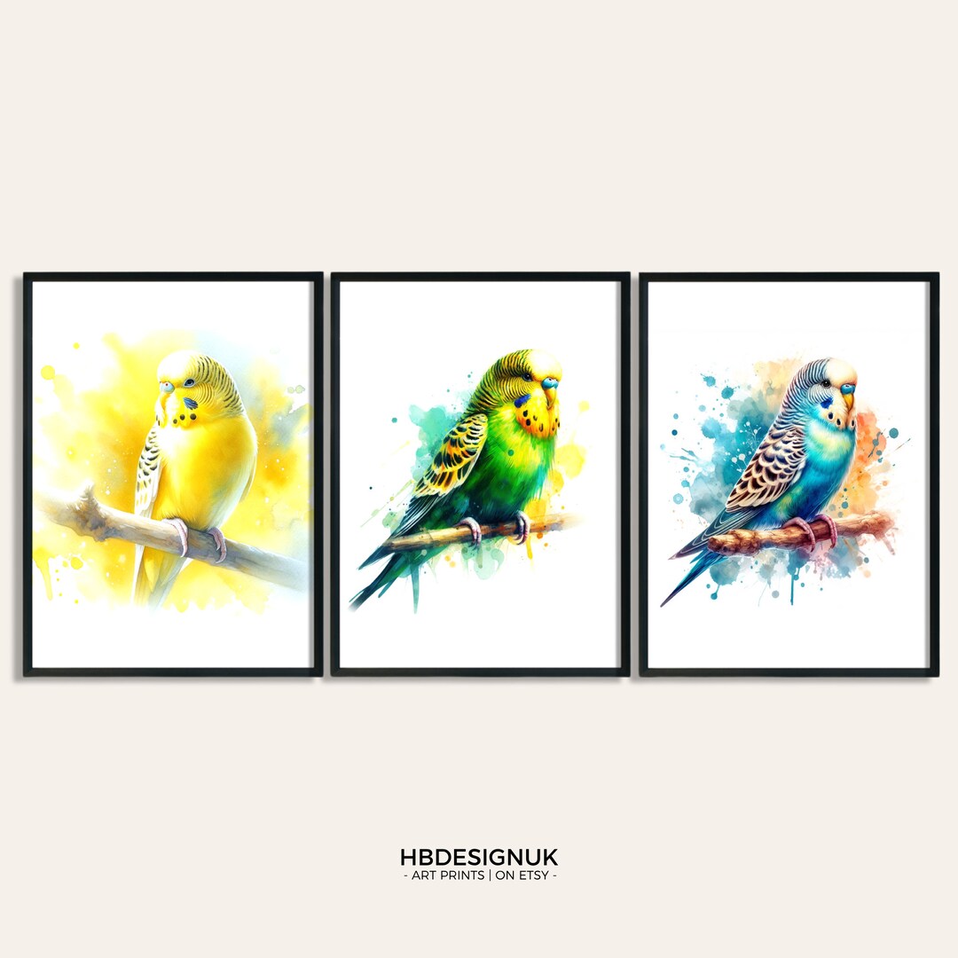 Budgie Poster Set - Set of 3 Prints | Watercolor Budgies Painting ...