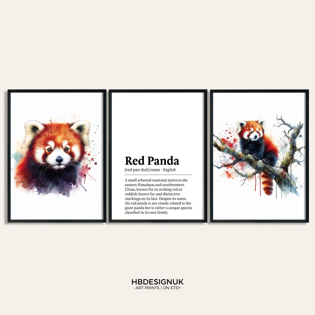 Red Panda Poster Set - Set of 3 Prints | Watercolour Red Panda Print ...