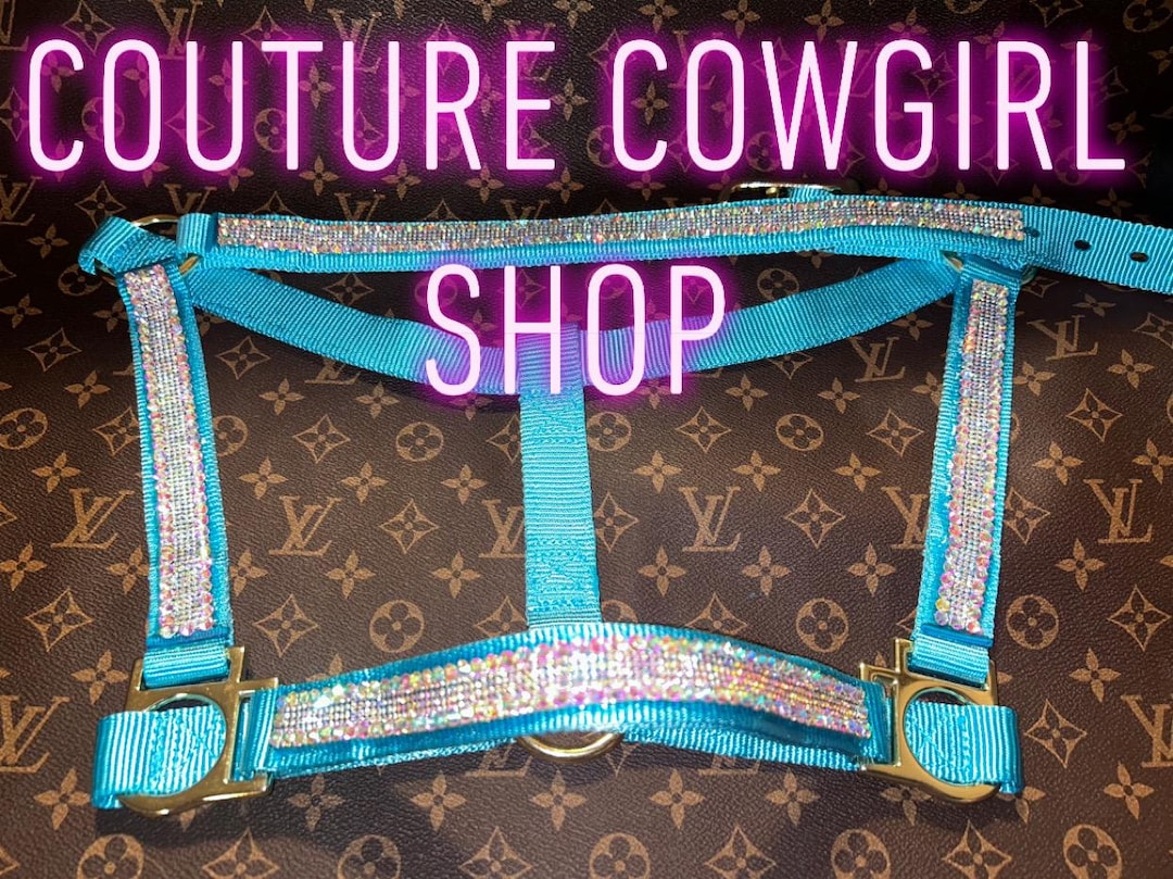 Boujee Bling Horse Halter! Turquoise Blue Halter With AB Bling ...