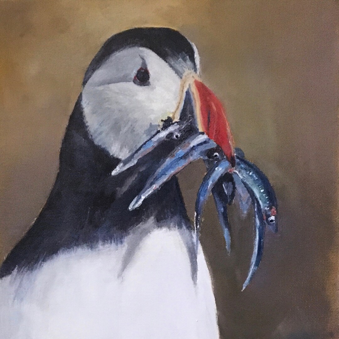 Puffin Originaloil Paintinga Fine Catch Canvas Board - Etsy
