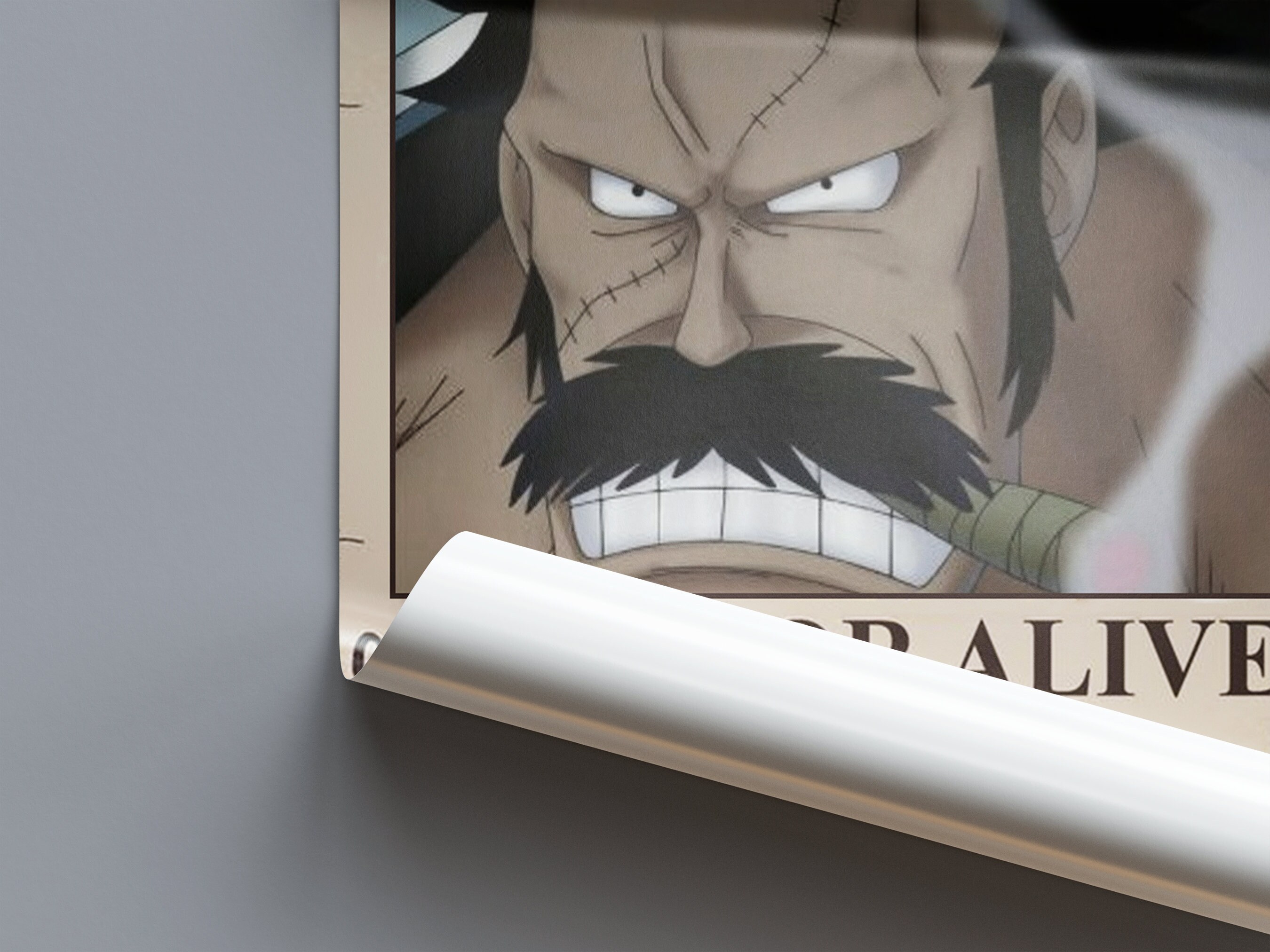 Wanted Fossa One Piece Anime Poster Wall Art Decor Wall - Etsy