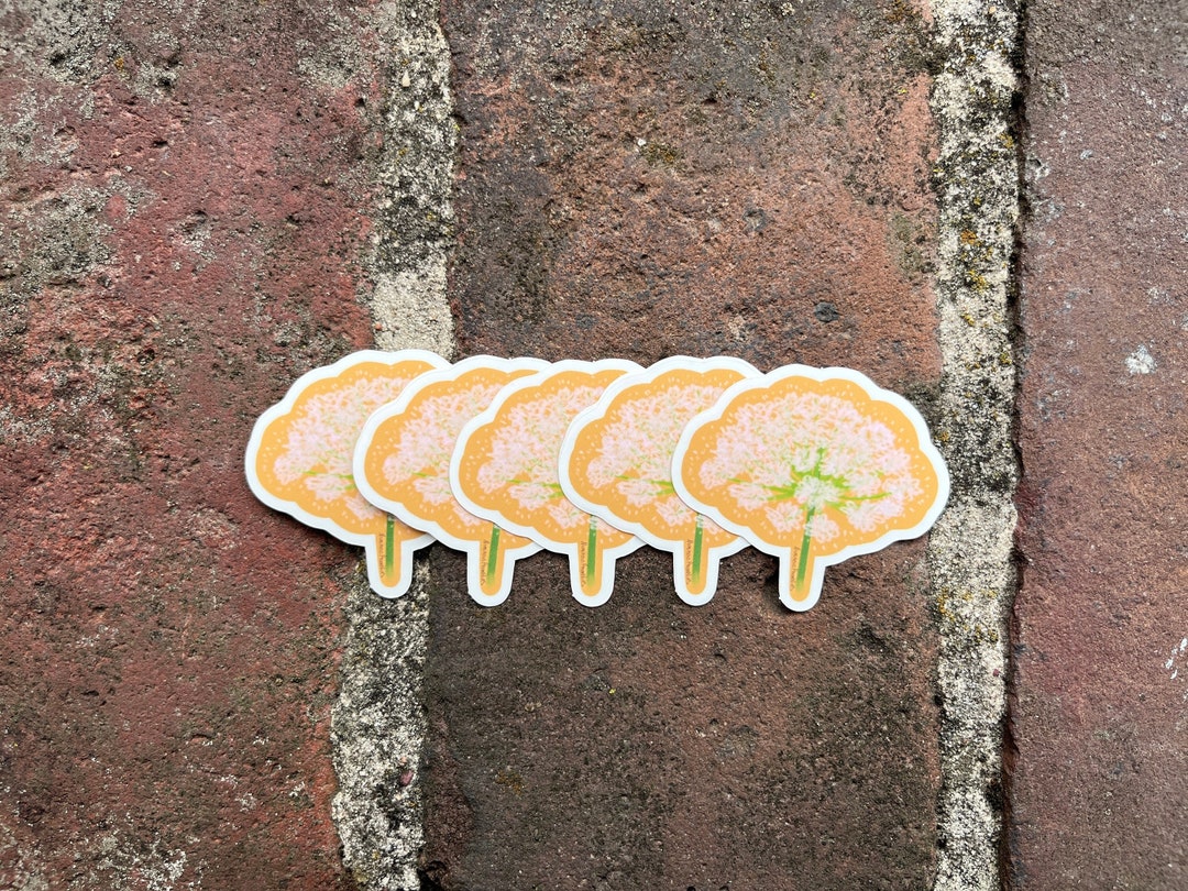 2" Vinyl Sticker 5s & 10s Multi-packs - Etsy