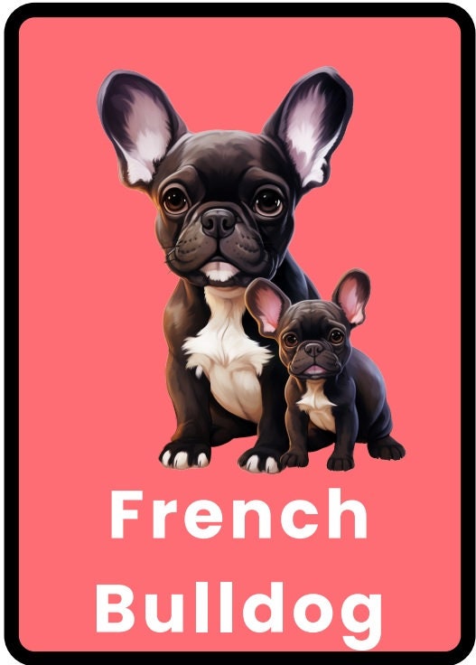 Printable PDF, Flash Cards, to Teach Kids to Learn 20 Different Dog ...