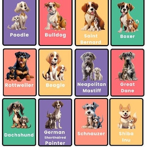 Printable PDF, Flash Cards, to Teach Kids to Learn 20 Different Dog ...