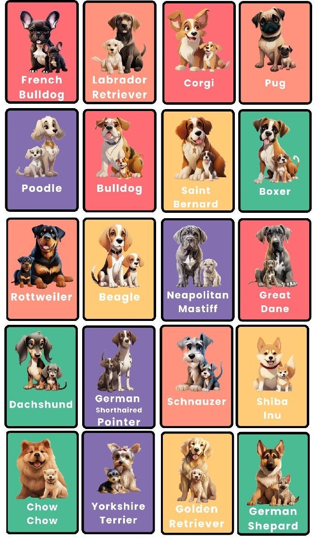 Printable PDF, Flash Cards, to Teach Kids to Learn 20 Different Dog ...