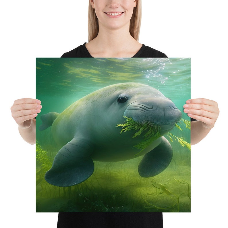 Manatí nadando y comiendo algas marinas-arte-decoración de pared - Etsy ...