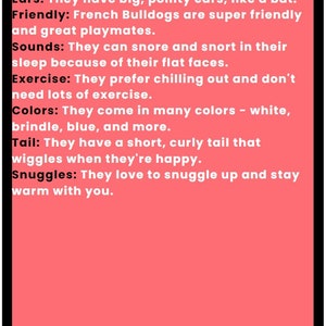 Printable PDF, Flash Cards, to Teach Kids to Learn 20 Different Dog ...