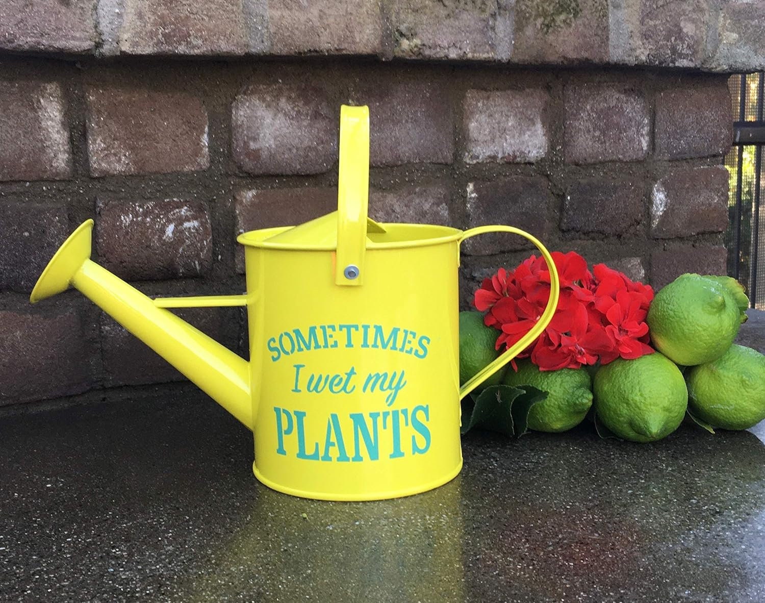 Small Metal Indoor Watering Can Gardening Gifts for Women sometimes I ...