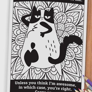Funny Cat Adult Coloring Book, Gift for Cat Lovers, Includes 12 Colored ...