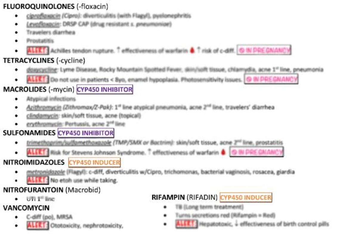 Concise Outpatient Antibiotic Quick-reference Guide (PDF) - Etsy