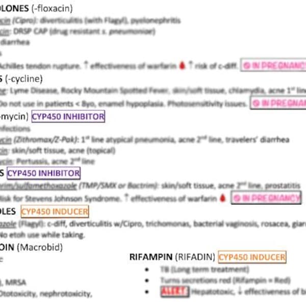 Antibiotic Cheat Sheet Fnp - Etsy
