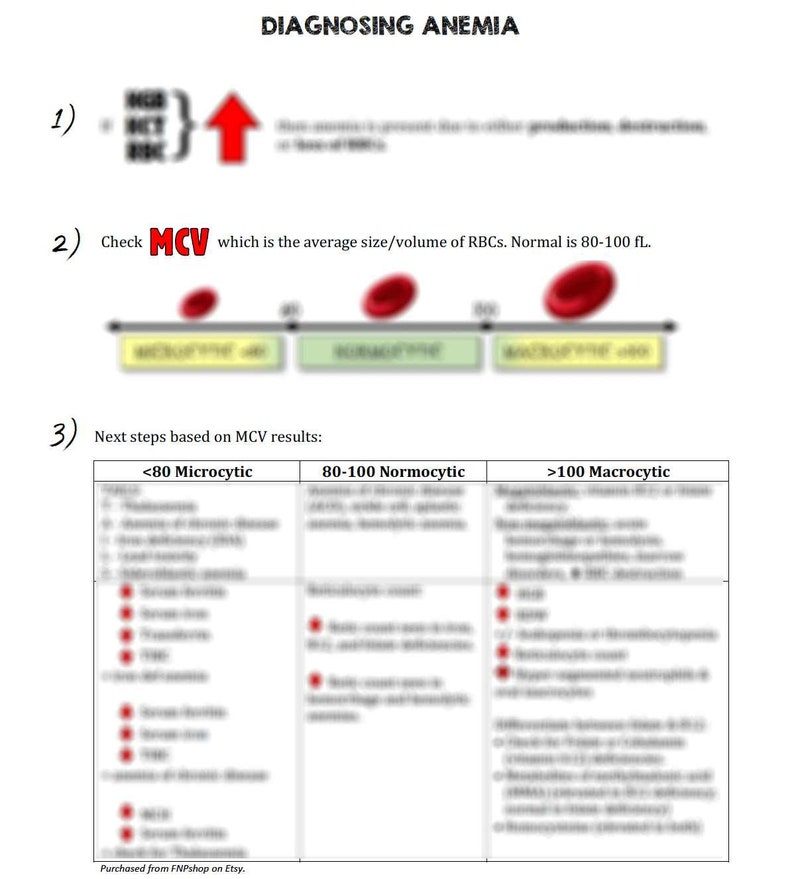Anemia Diagnosis Quick Reference (PDF) - Etsy