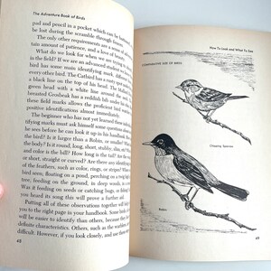 Birds: A Golden Book, Question and Answer Adventures (copyright 1957 ...