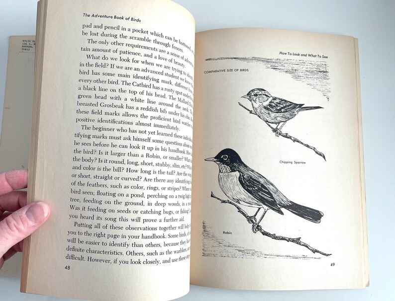 Birds: A Golden Book, Question and Answer Adventures (copyright 1957 ...