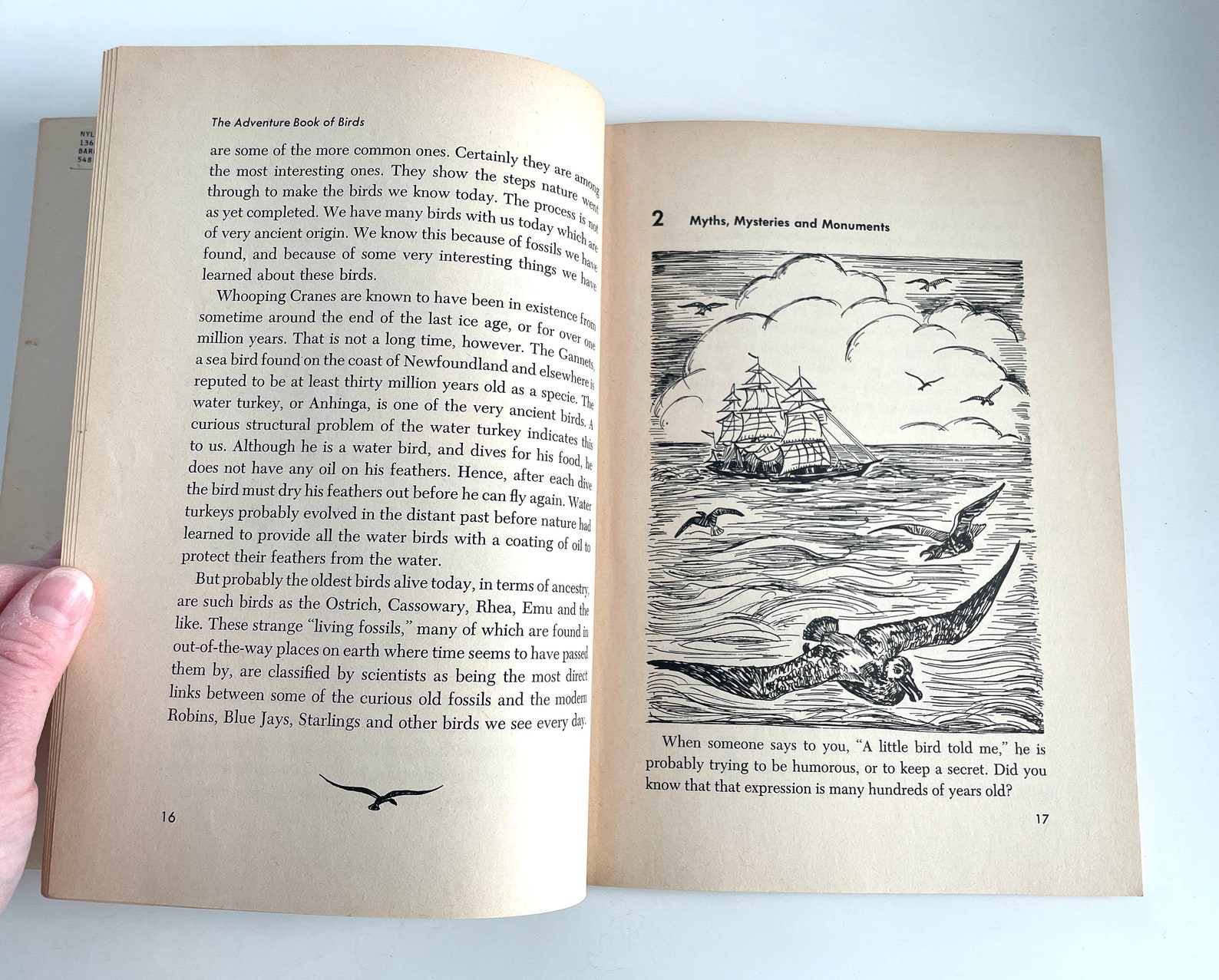 Birds: A Golden Book, Question and Answer Adventures (copyright 1957 ...