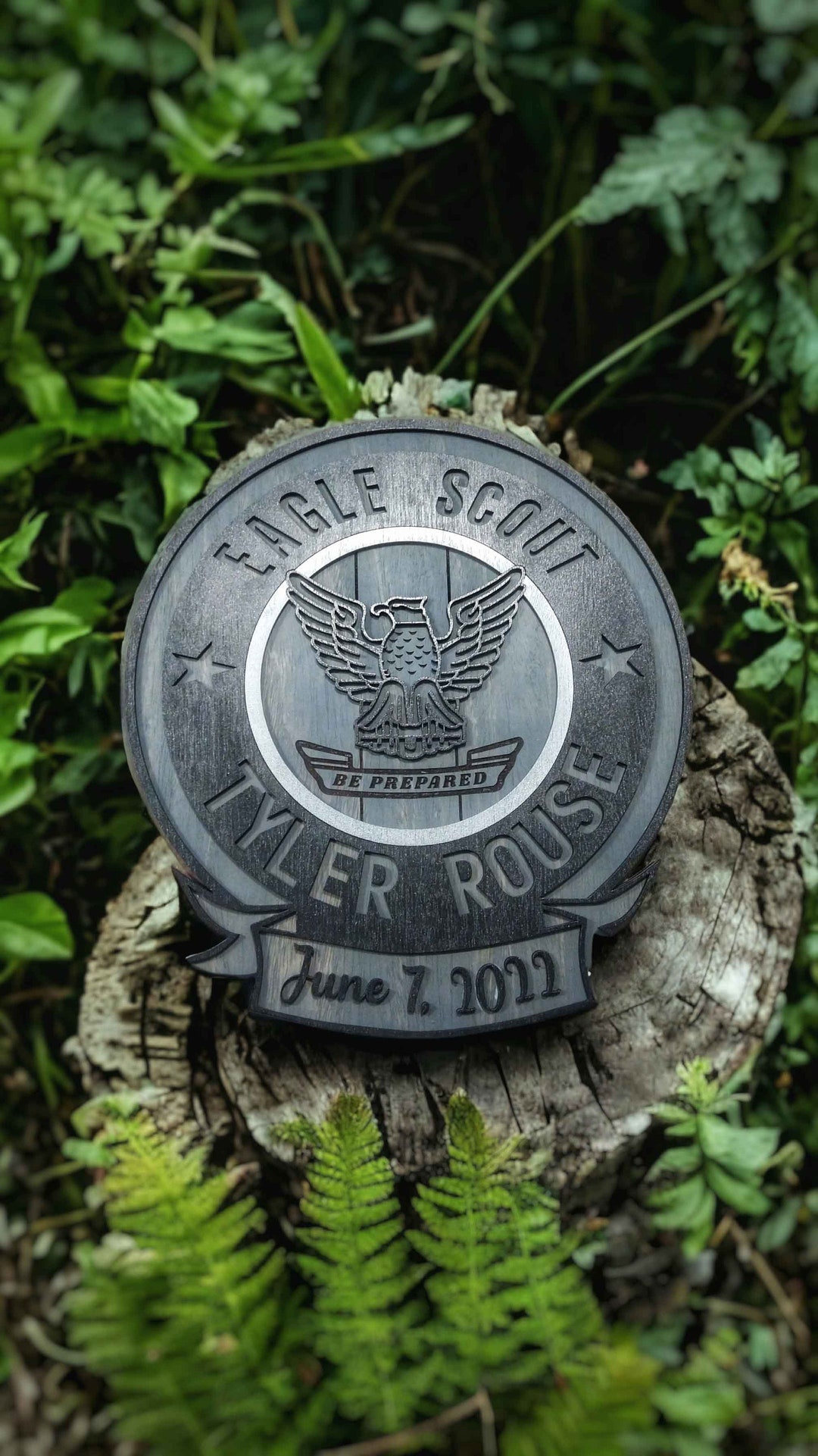 Wings of Valor Eagle Scout Shield Recognition Plaque - Etsy