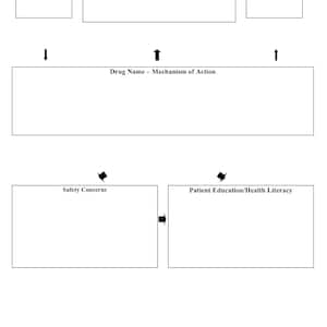 Medication Concept Map - Etsy