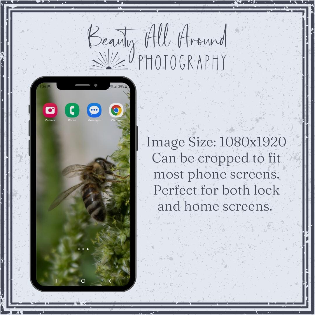 Bee Smartphone Wallpaper - Home Screen - Lock Screen - Digital ...