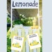 Lemonade Stand Signs, Instant Download and Print, Pretend Play, Summer ...