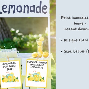 Lemonade Stand Signs, Instant Download and Print, Pretend Play, Summer ...