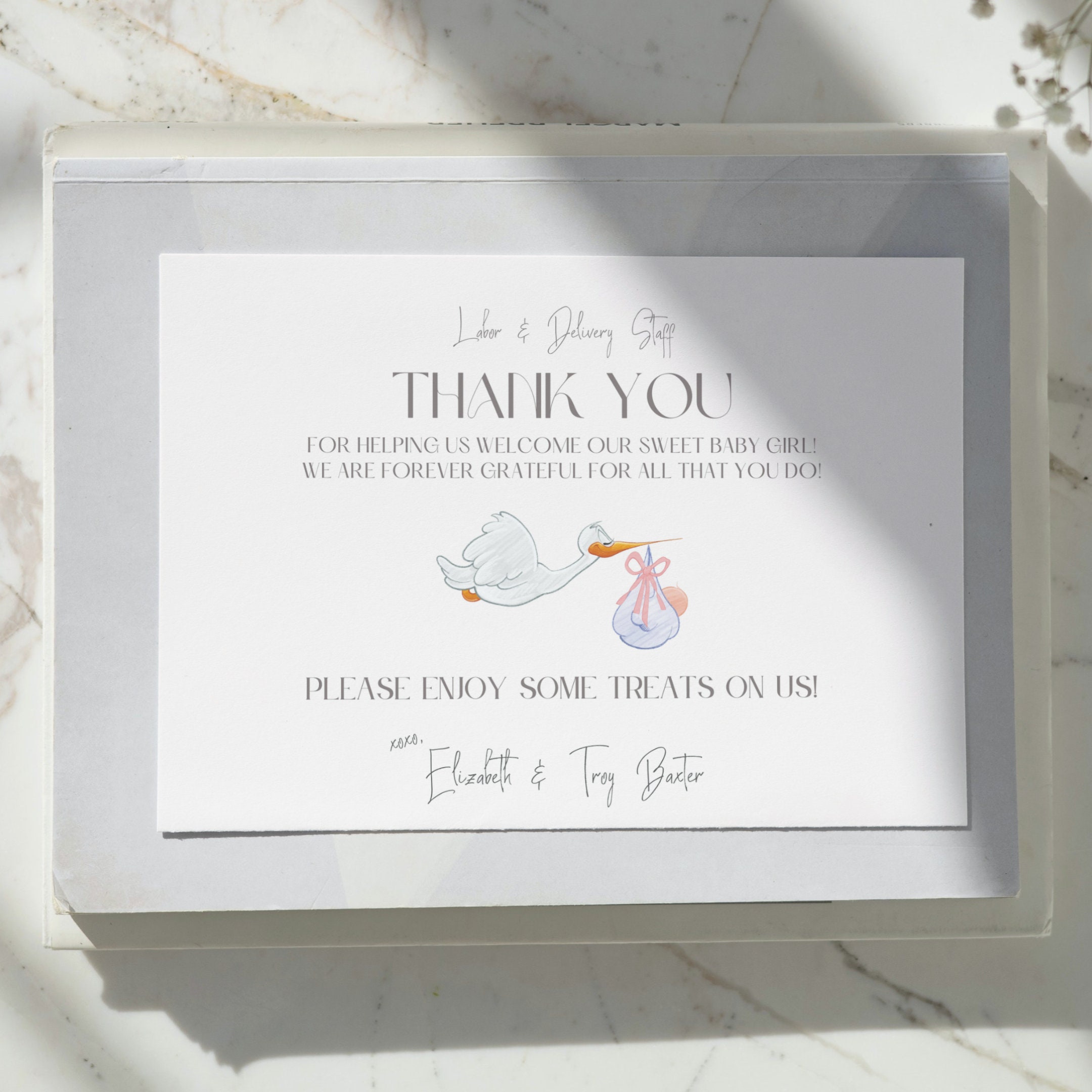 Editable Labor and Delivery/mother Baby Nurse Thank You Sign With Stork ...
