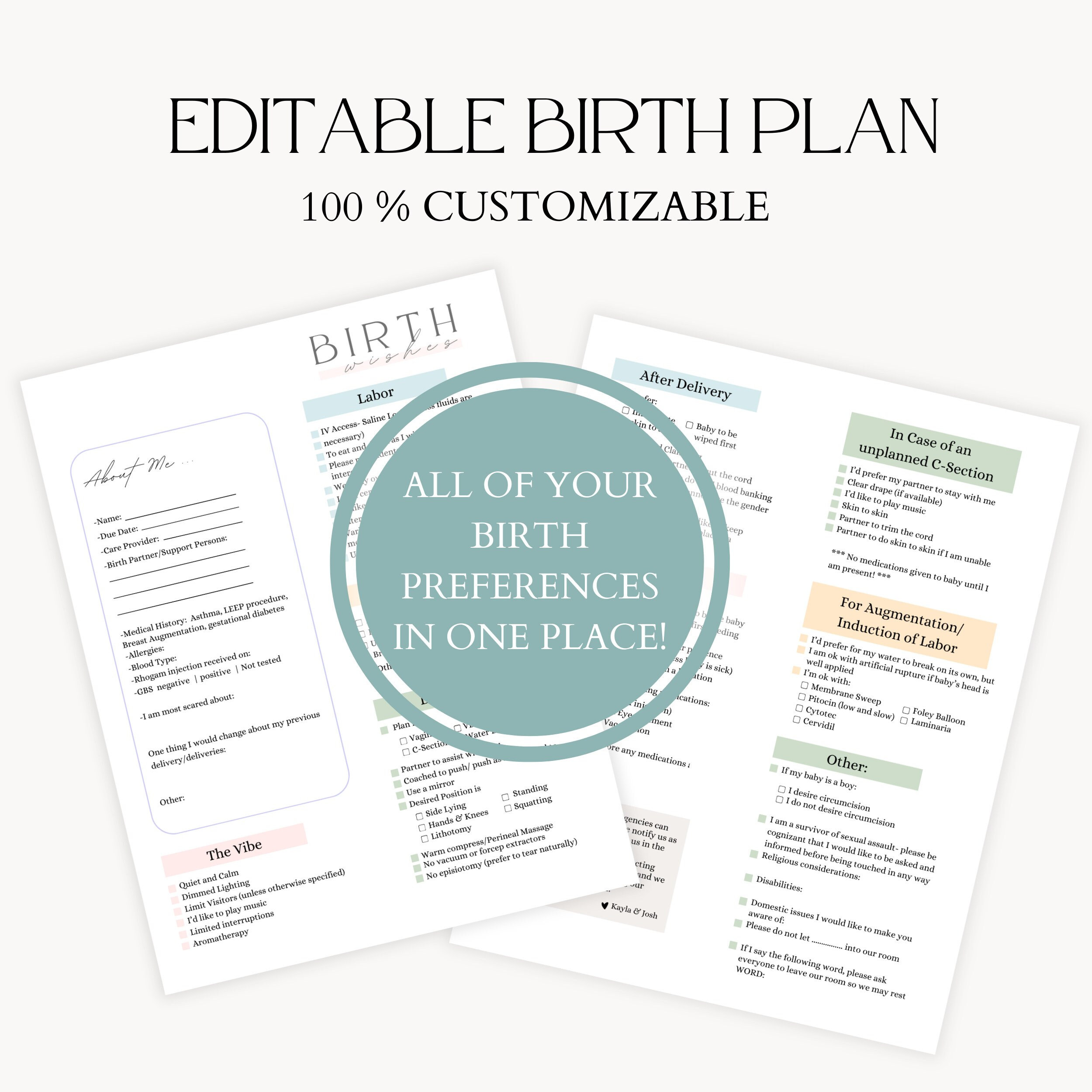 Editable Birth Plan/birth Wishes | Birth Preference Sheet | Birth Plan ...