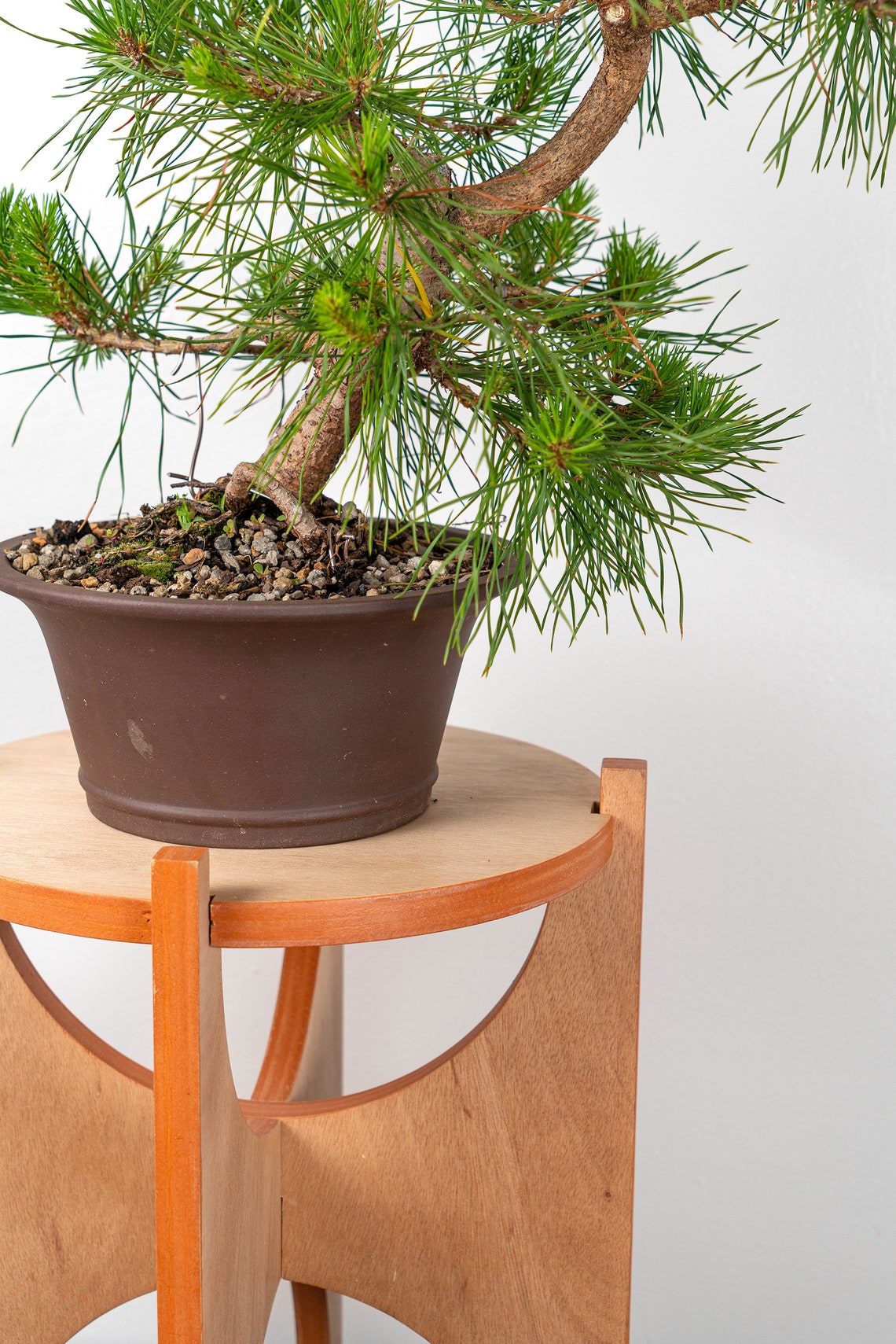 Medium Plant Stand - Etsy