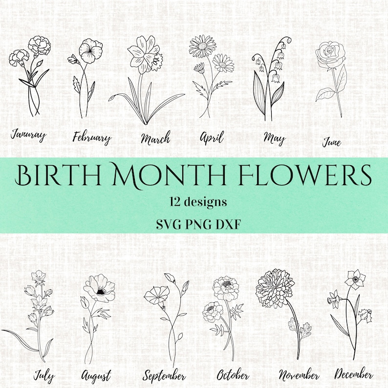 Birth Flower SVG Birth Month Flowers Png Wildflower Svg - Etsy