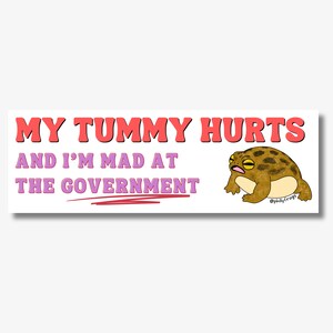 My Tummy Hurts and I’m Mad at the Government - Screaming Desert Rain ...