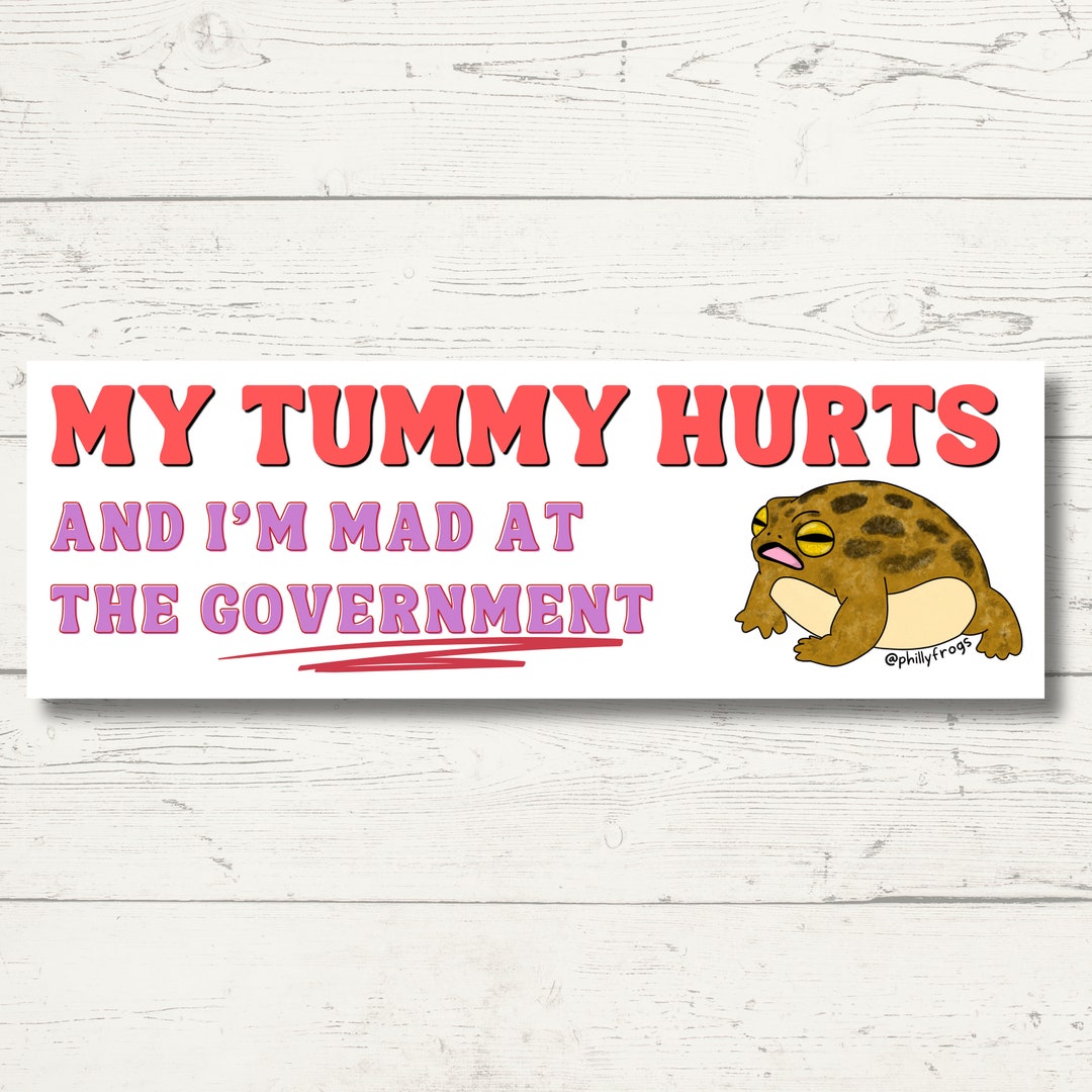 My Tummy Hurts and Im Mad at the Government Screaming - Etsy