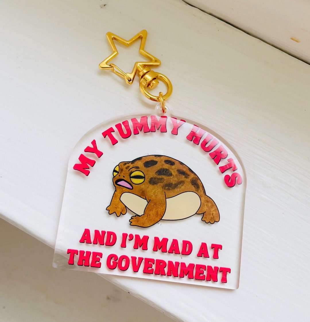 My Tummy Hurts and I’m Mad at the Government Keychain - Screaming ...